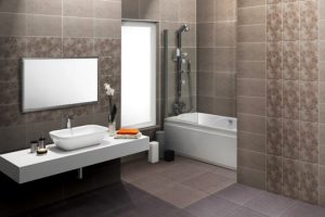 Standard Ceramics | ALPHA